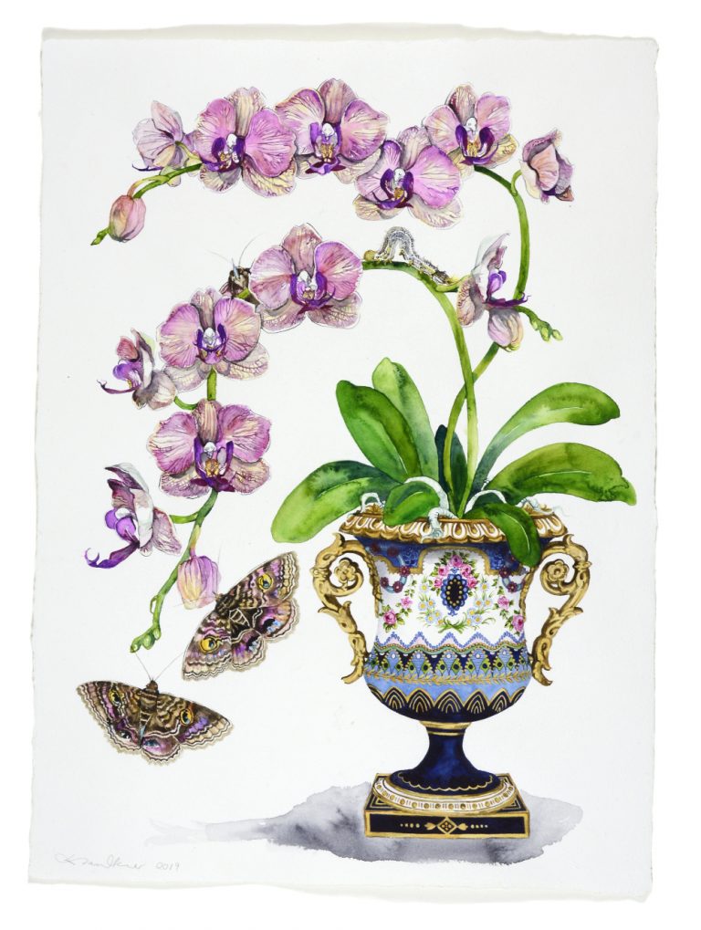 Portfolio – Denise Faulkner