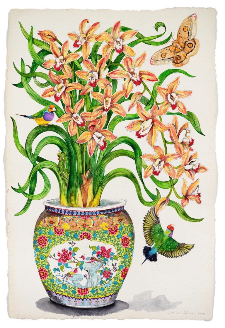 Portfolio – Denise Faulkner