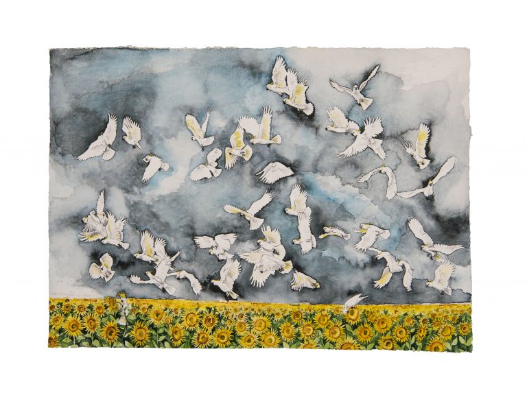 Portfolio – Denise Faulkner