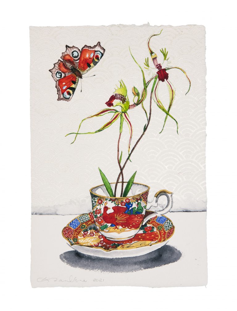 Portfolio – Denise Faulkner