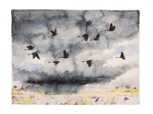 Portfolio – Denise Faulkner